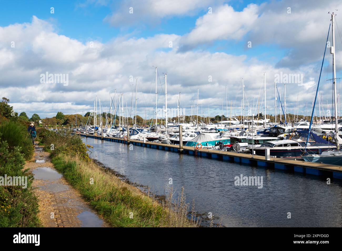 Lymington marina, New Forest, Hampshire, England Stock Photo - Alamy