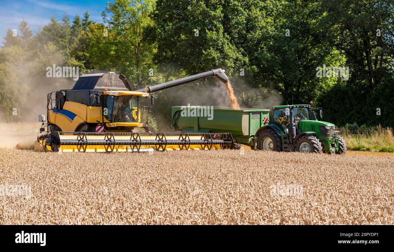 Combine harvester and tractor with loader wagon in the cornfield ...