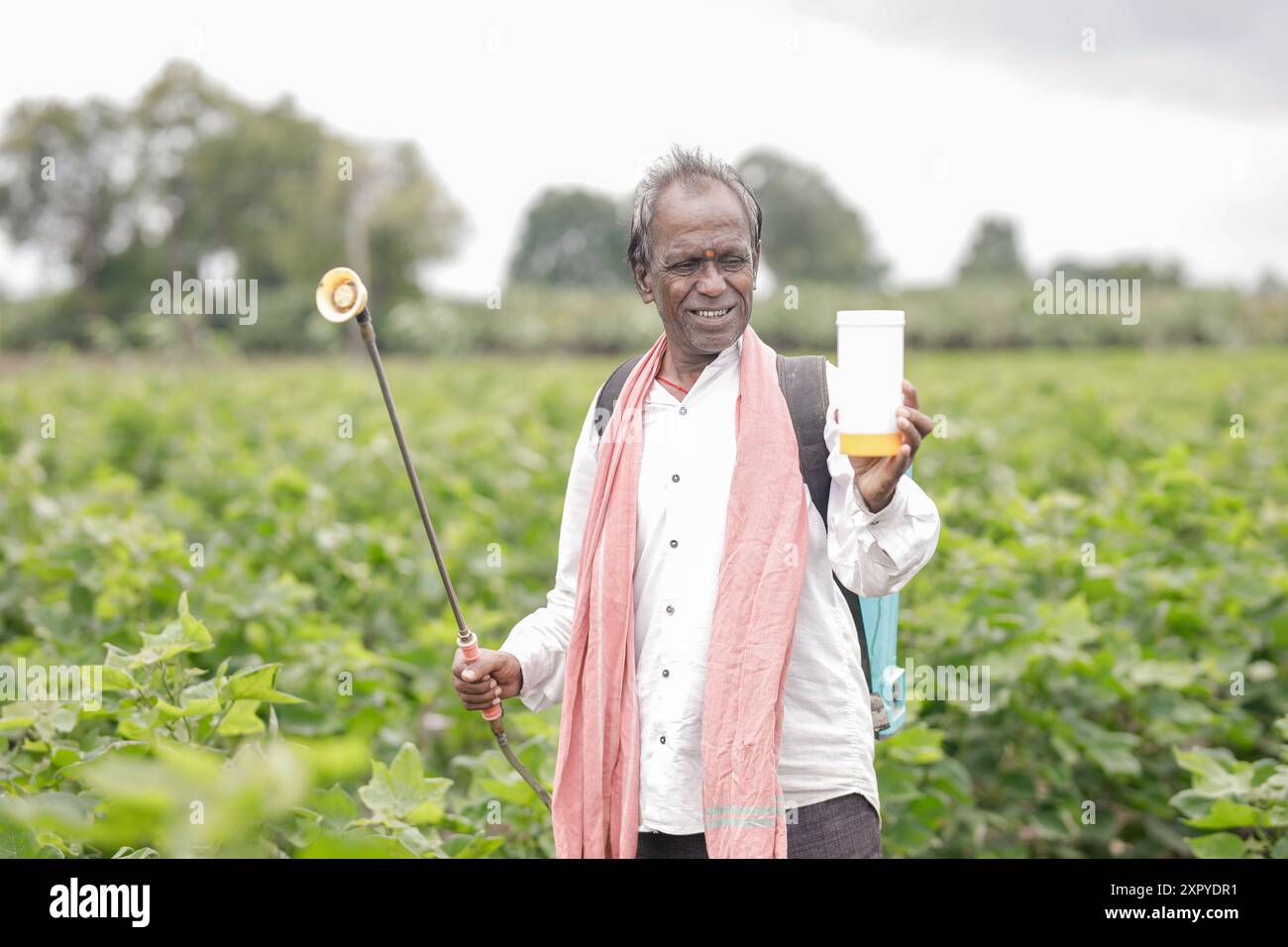 Indian farmer working on farm field, spraying fertilizer on soil and ...