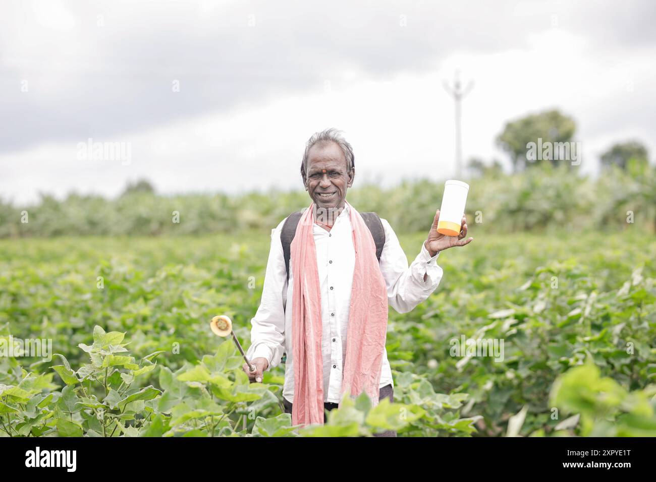 Indian farmer working on farm field, spraying fertilizer on soil and ...