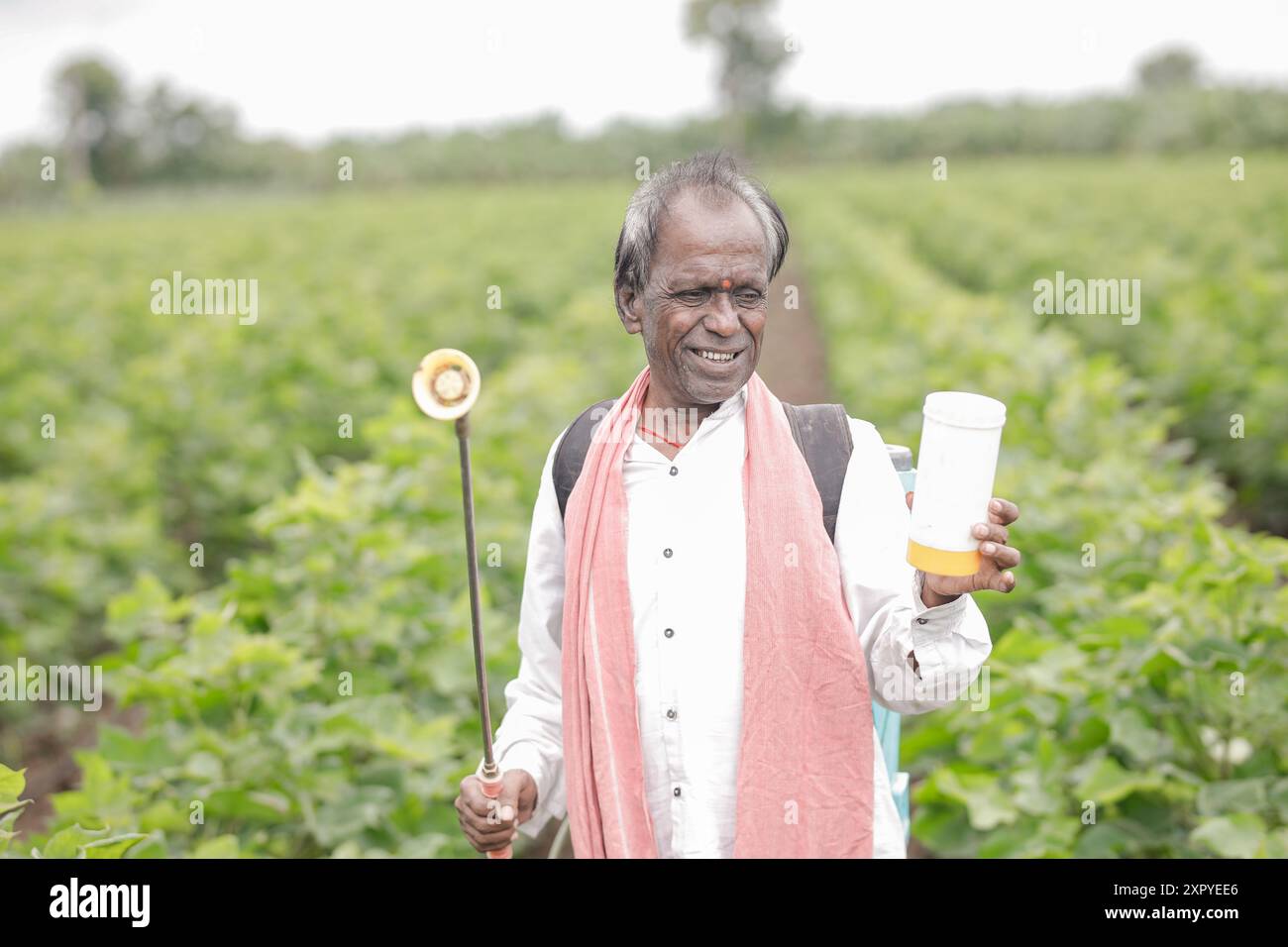 Indian farmer working on farm field, spraying fertilizer on soil and ...