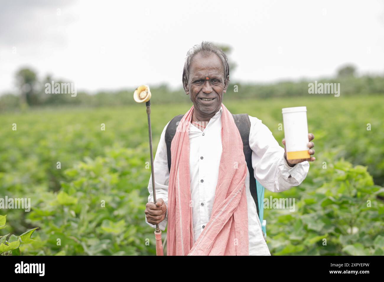Indian farmer working on farm field, spraying fertilizer on soil and ...