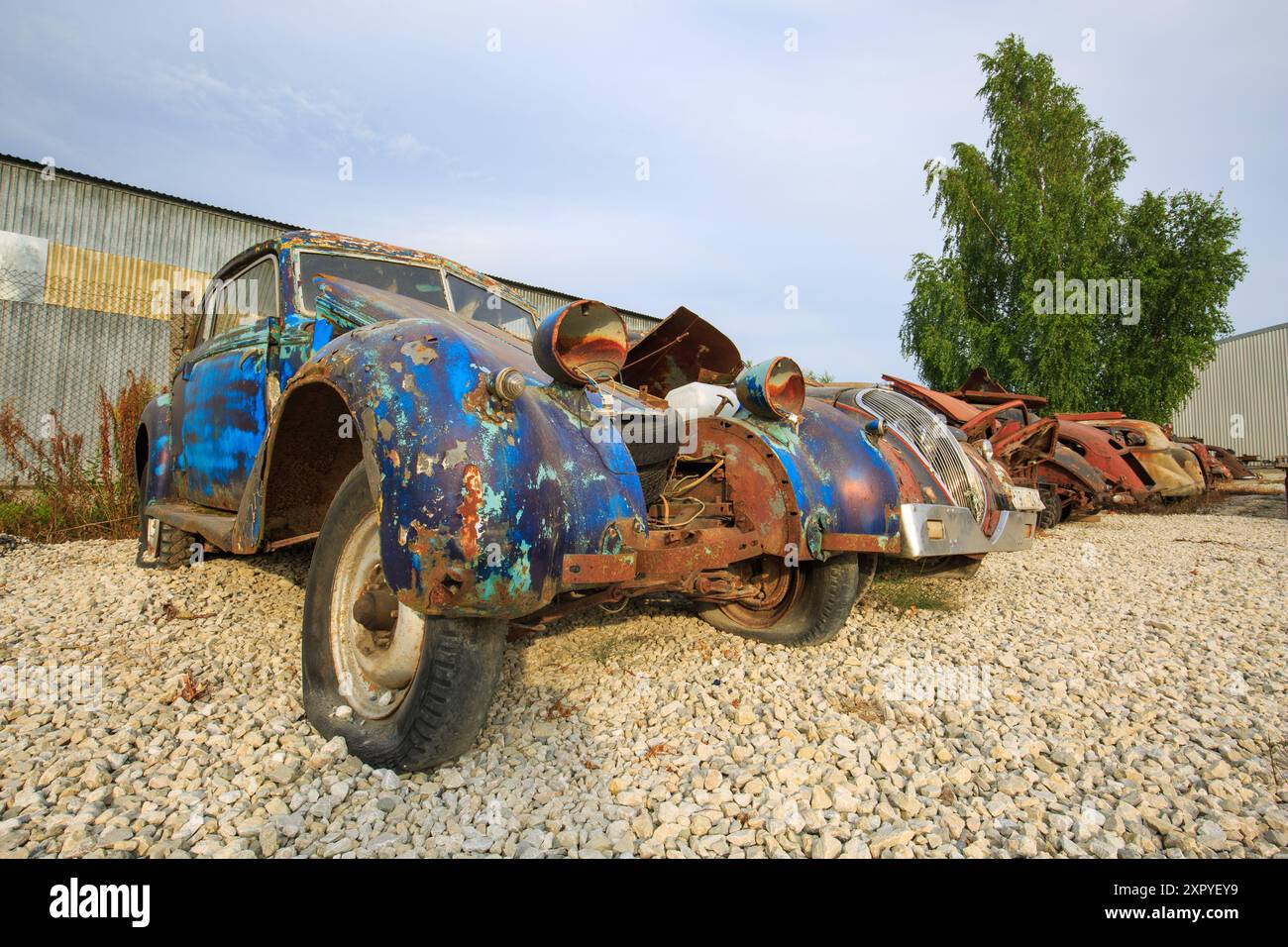 Graveyard of old classic cars Stock Photo - Alamy