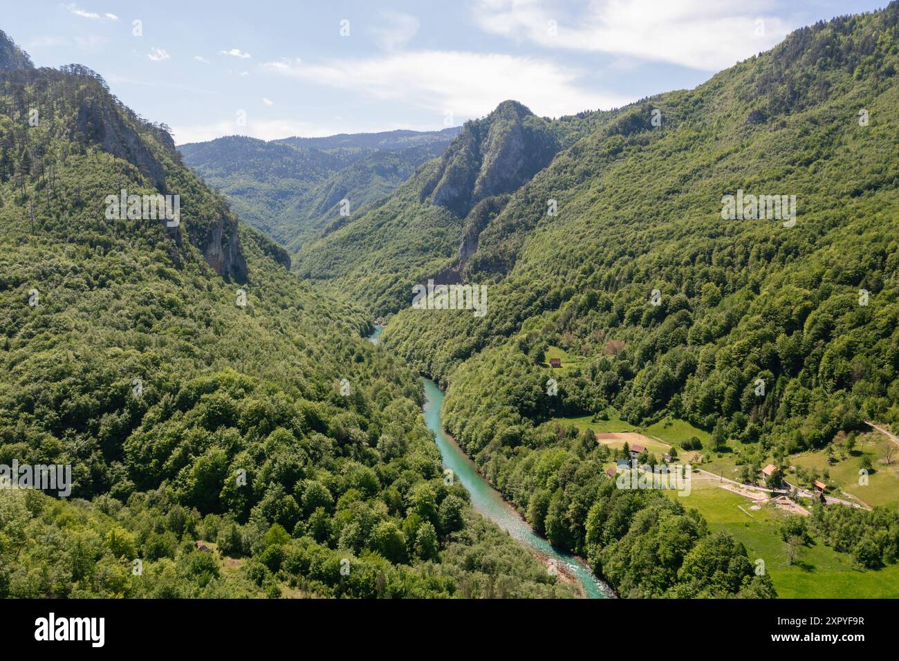Aerial view of Tara River deep canyon and forest mountain in northern ...