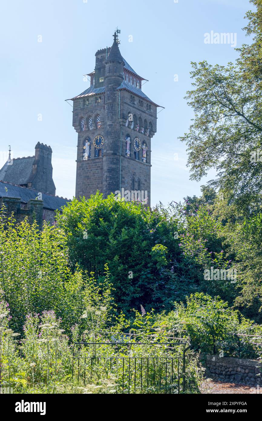 The Clock tower at Cardiff castle viewed from Bute Park. Design by ...