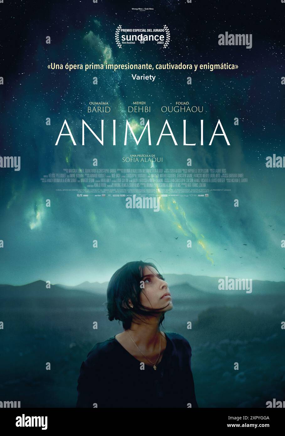 ANIMALIA (2023). Credit: Wrong Films/Srab Films/Dounia Productions ...