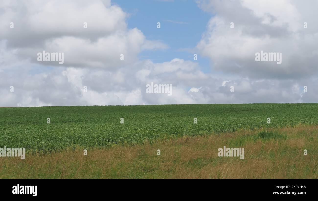 Beautiful view green field hi-res stock photography and images - Alamy