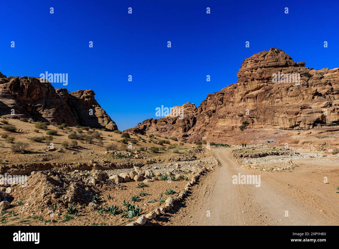 Landscapes in the Wadi Musa desert in Jordan near Petra Stock Photo - Alamy