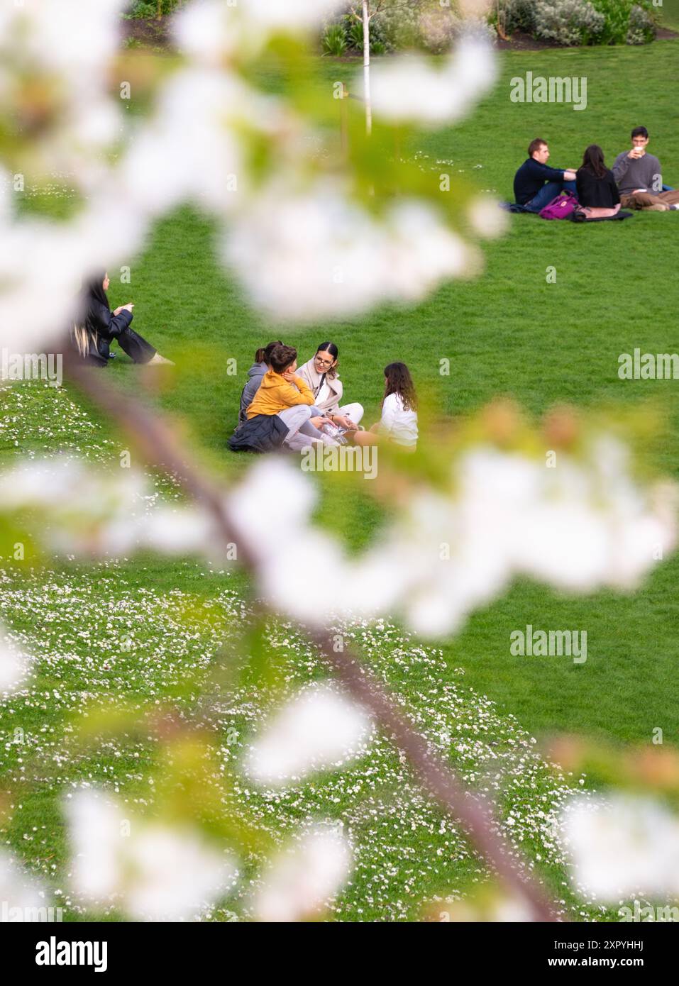 Springtime in St James Park, London, England Stock Photo - Alamy