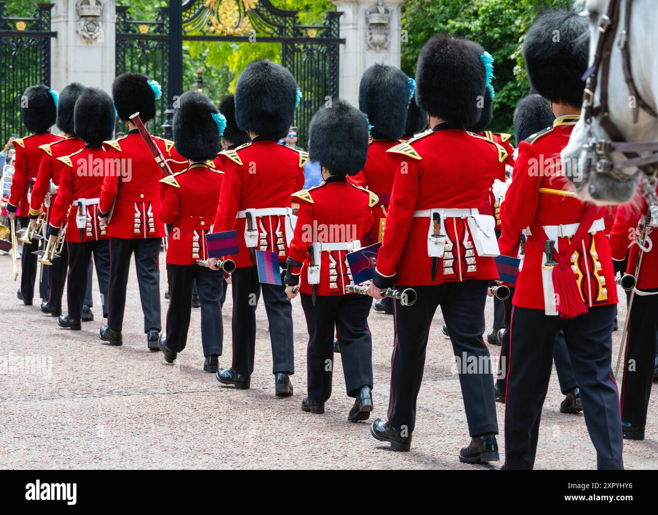 The Band of the Irish Guards at Changing the Guard ceremony (Guard Mounting), London, England ...