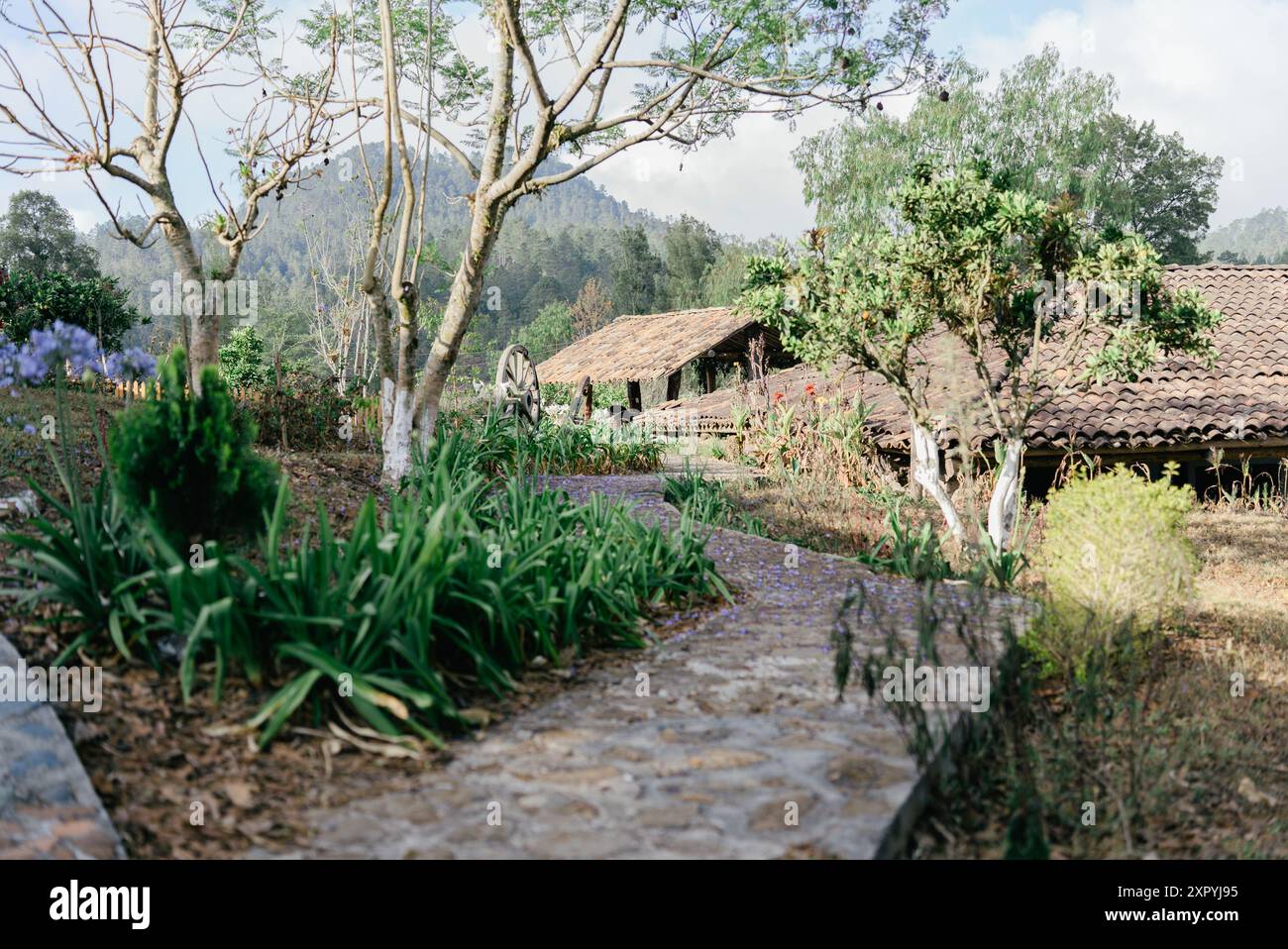 Cerro alto hi-res stock photography and images - Alamy