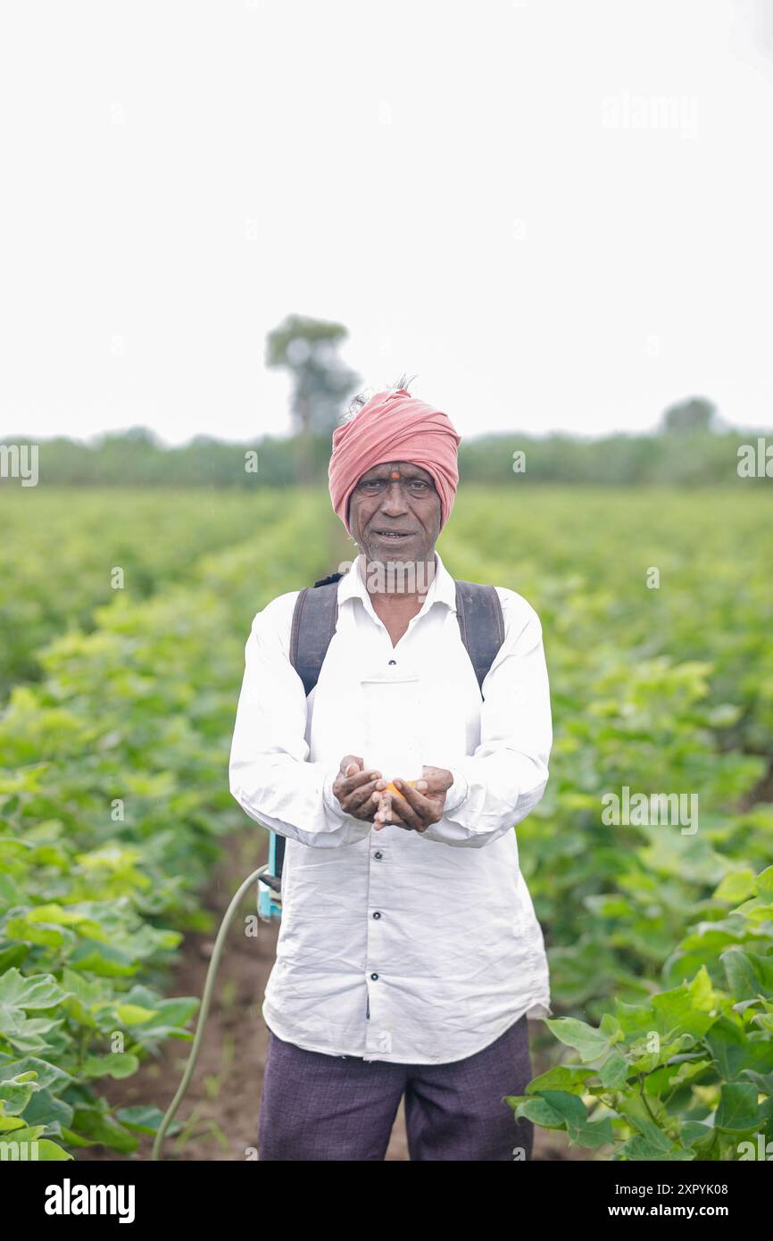 Indian farmer working on farm field, spraying fertilizer on soil and ...