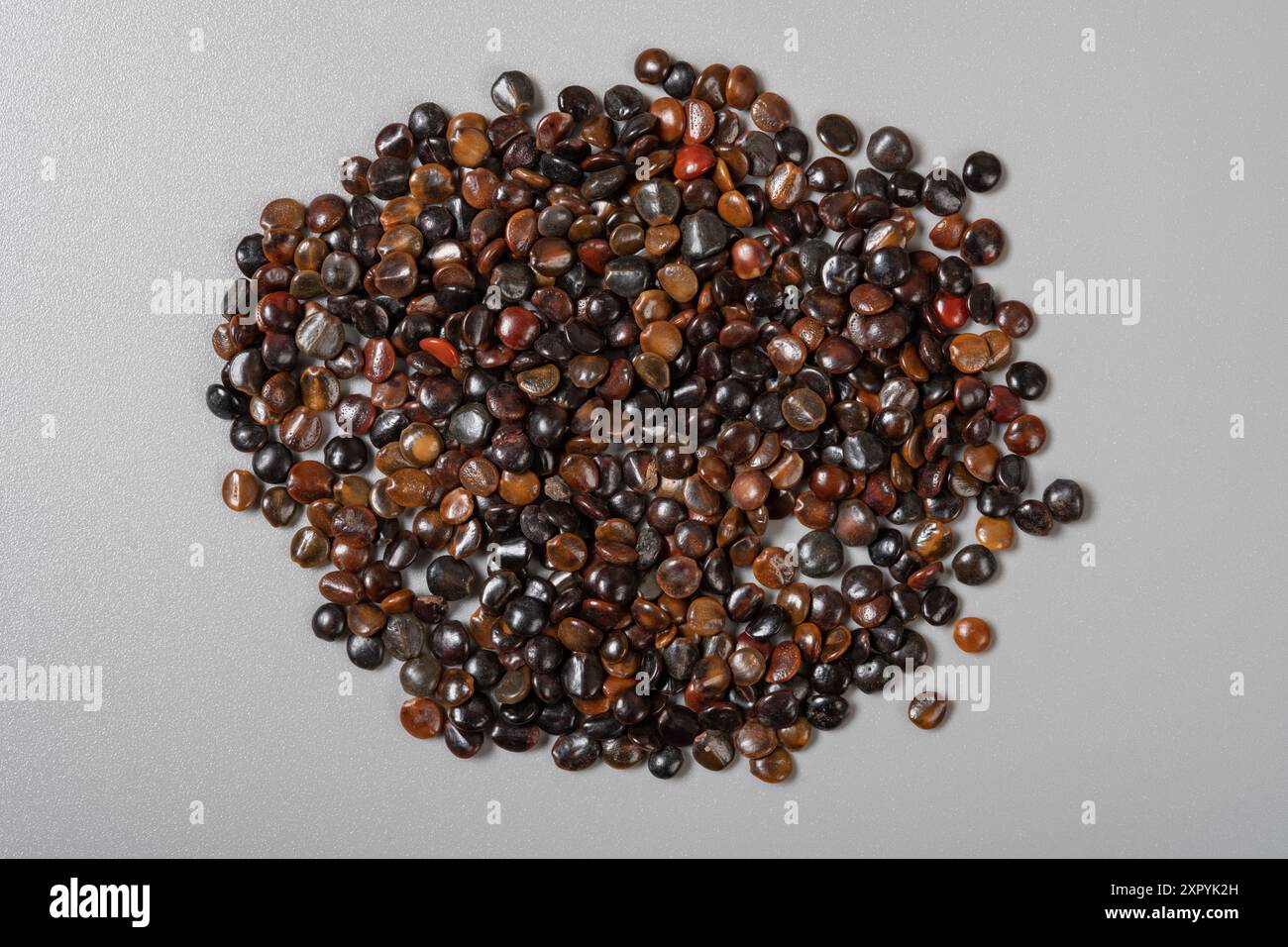 angle view herb ZhiJu or Hovenia acerba Lindl. or Raisin Tree Seed on ...