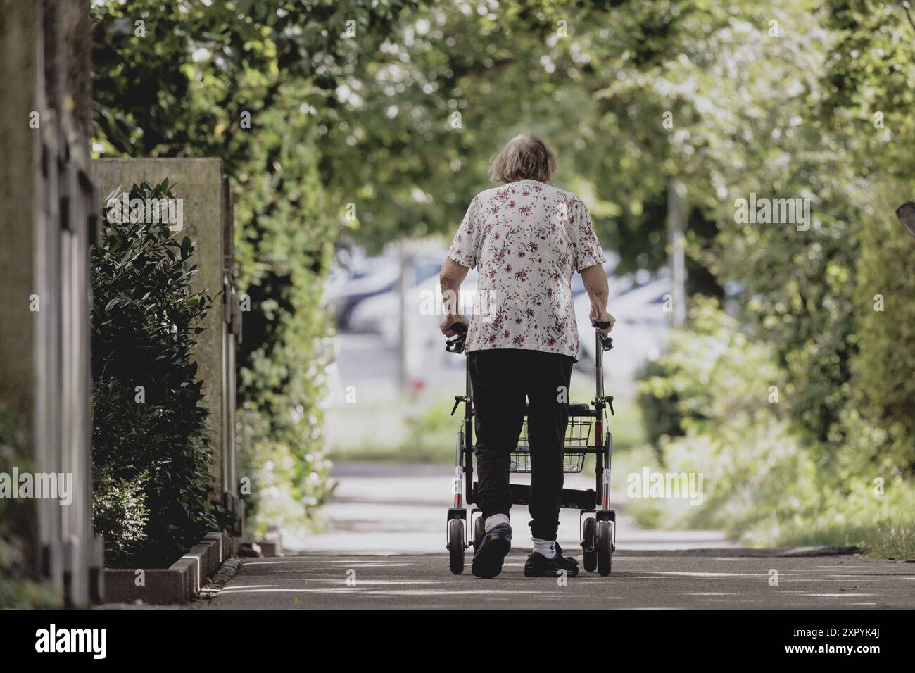 Eine Frau mit Rollator, aufgenommen in Berlin, 07.08.2024. Berlin ...