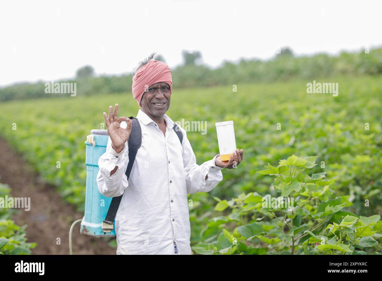 Indian farmer working on farm field, spraying fertilizer on soil and ...