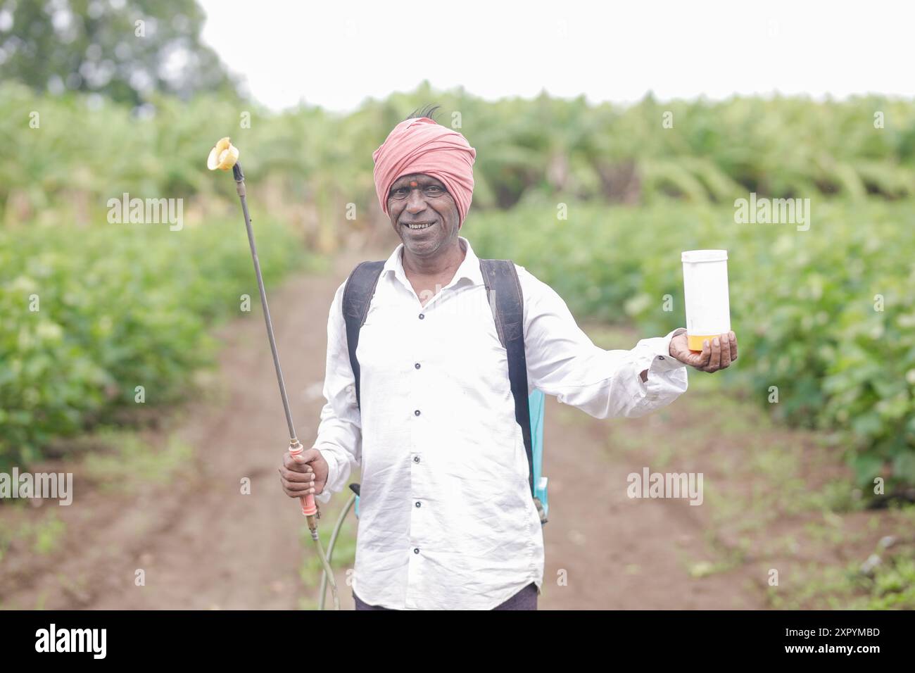 Indian farmer working on farm field, spraying fertilizer on soil and ...