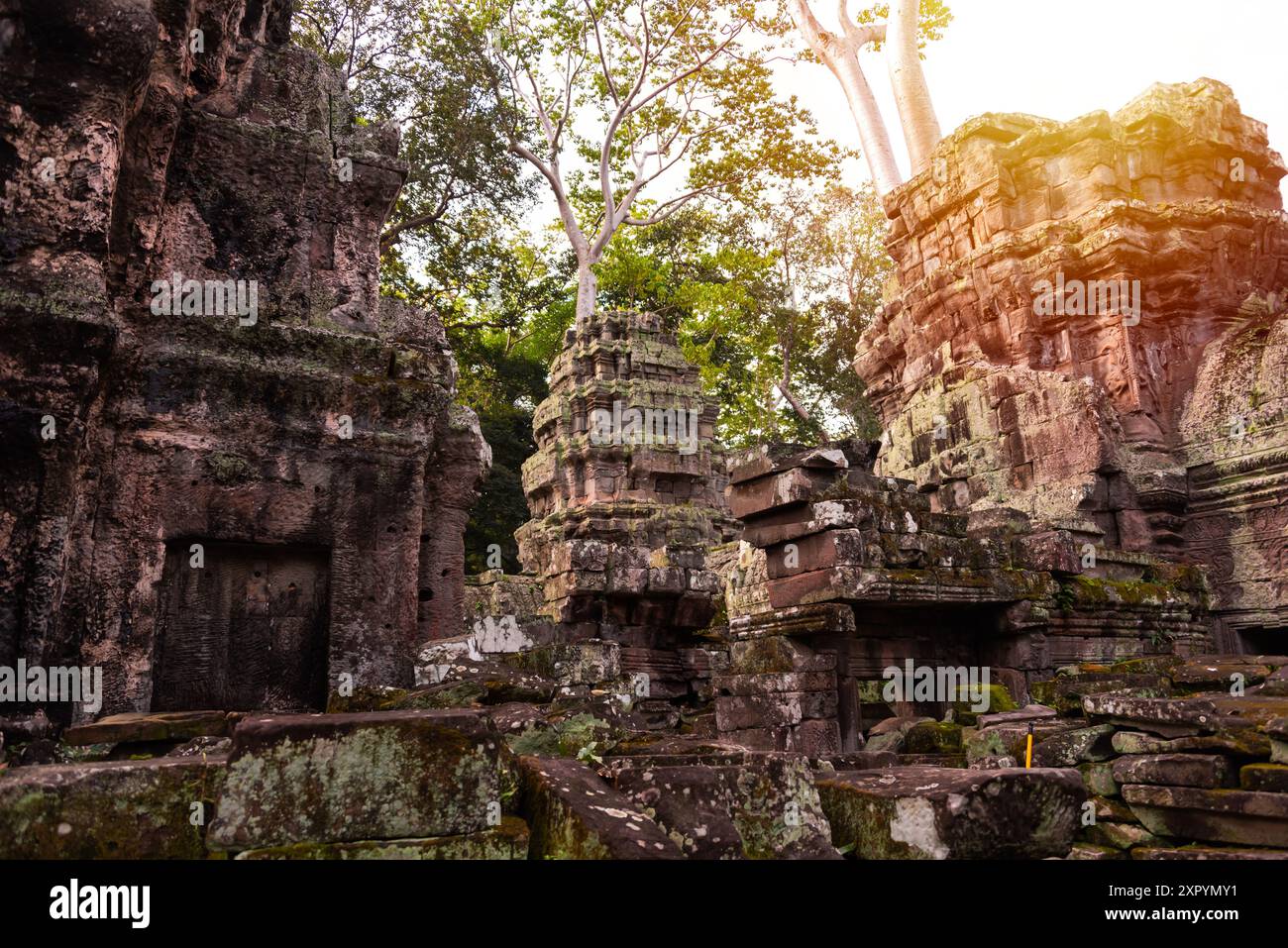 Angkor Thom, ancient temple ruins in Cambodia jungle with tree roots ...