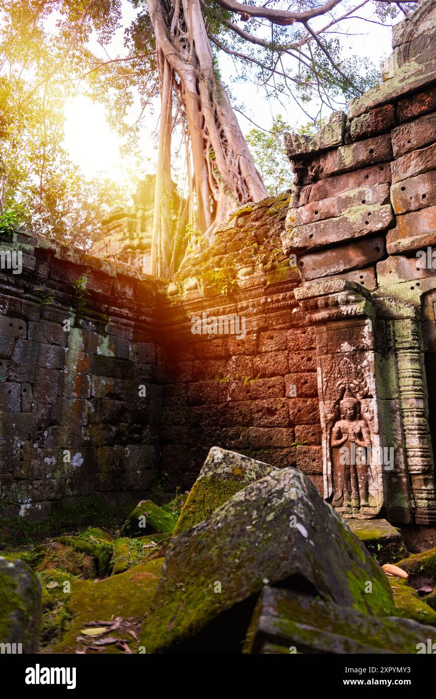 Angkor Thom, ancient temple ruins in Cambodia jungle with tree roots ...