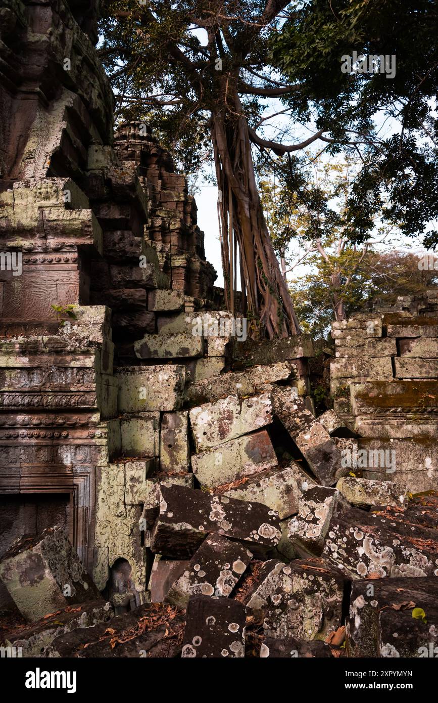 Angkor Thom, ancient temple ruins in Cambodia jungle with tree roots ...