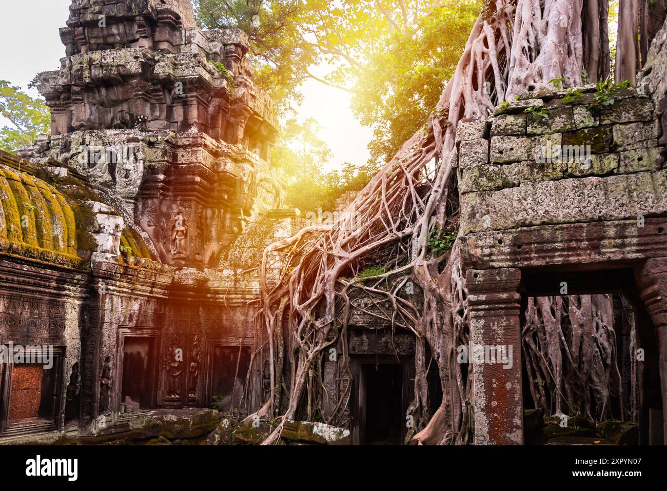 Angkor Thom, ancient temple ruins in Cambodia jungle with tree roots ...