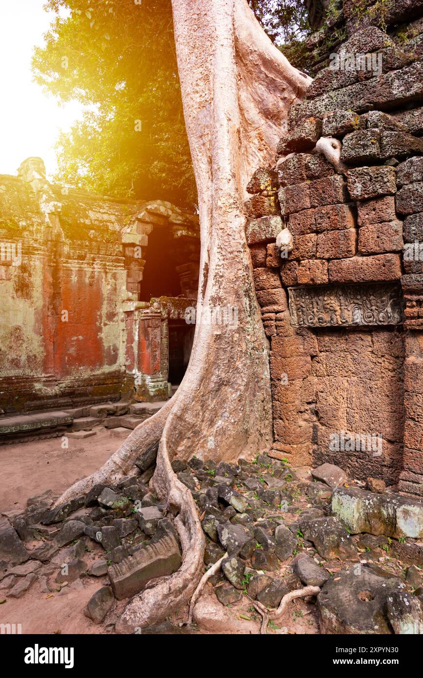 Angkor Thom, ancient temple ruins in Cambodia jungle with tree roots ...