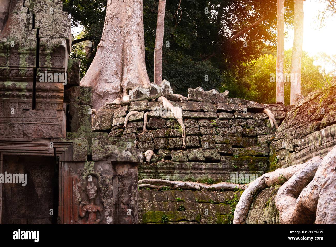 Angkor Thom, ancient temple ruins in Cambodia jungle with tree roots ...