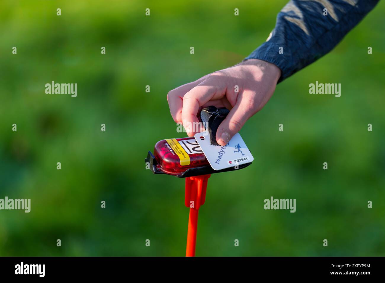 Primary school children on an orienteering lesson in the park Stock ...