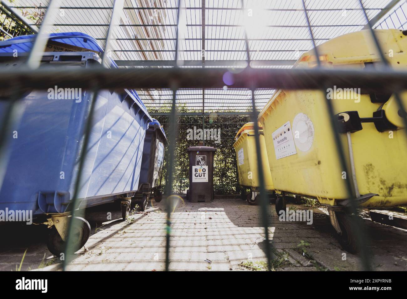 Blaue Tonne, gelbe Tonne sowie Biotonne, aufgenommen in Berlin, 07.08. ...