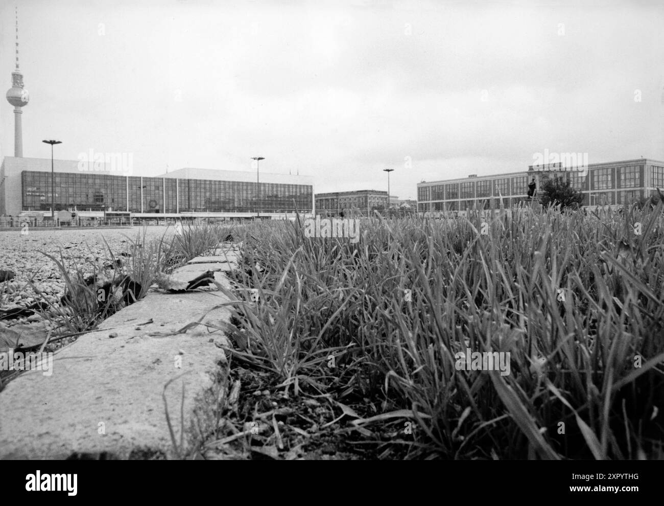 Berliner stadtschloß Black and White Stock Photos & Images - Alamy