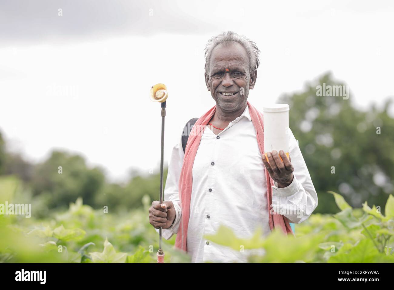 Indian farmer working on farm field, spraying fertilizer on soil and ...