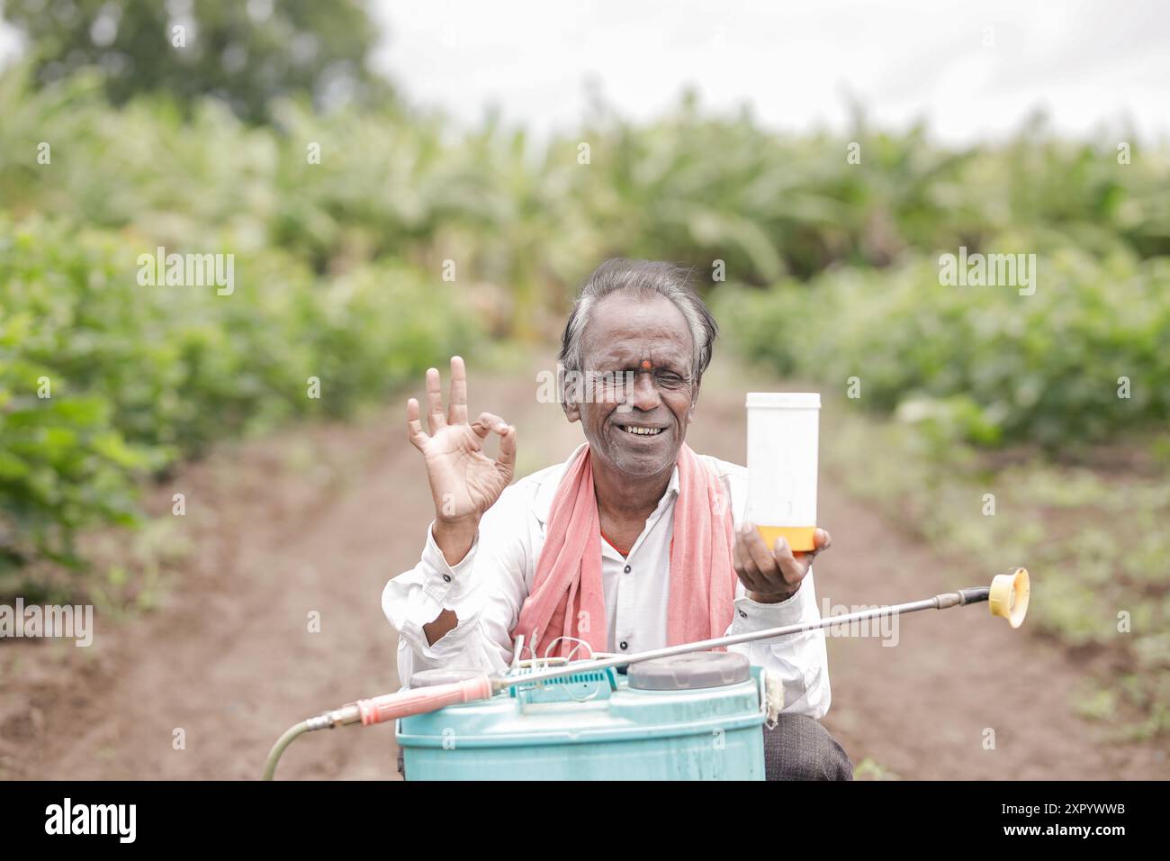 Indian farmer working on farm field, spraying fertilizer on soil and ...