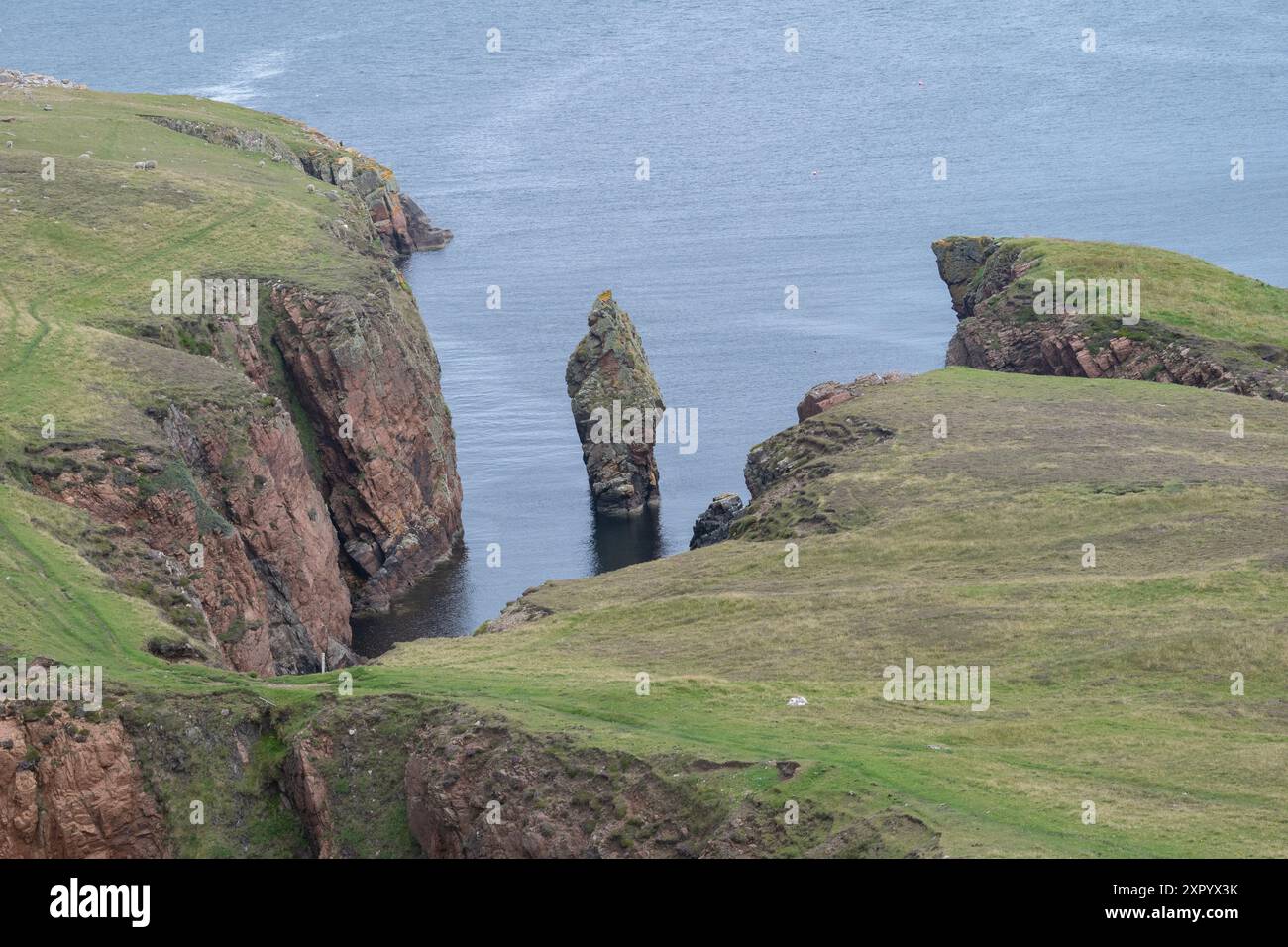 View across South Hams Bay, Muckle Row, Shetland Stock Photo - Alamy