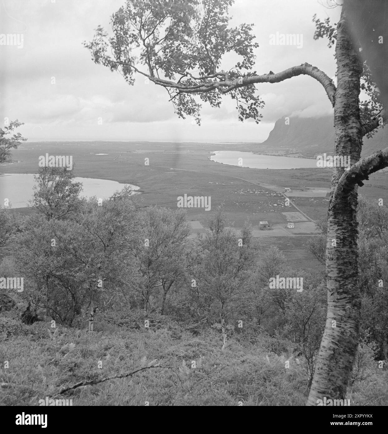 Follow view Black and White Stock Photos & Images - Alamy