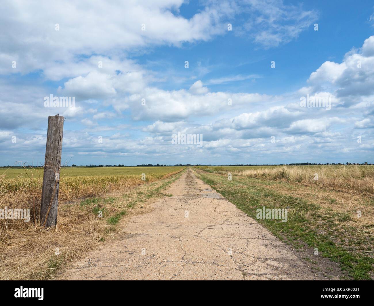 Fenland farm road hi-res stock photography and images - Alamy
