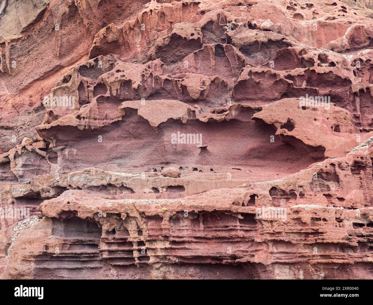 Eroded red tuft lava cliff, Deserta Grande Island, Desertas Islands ...