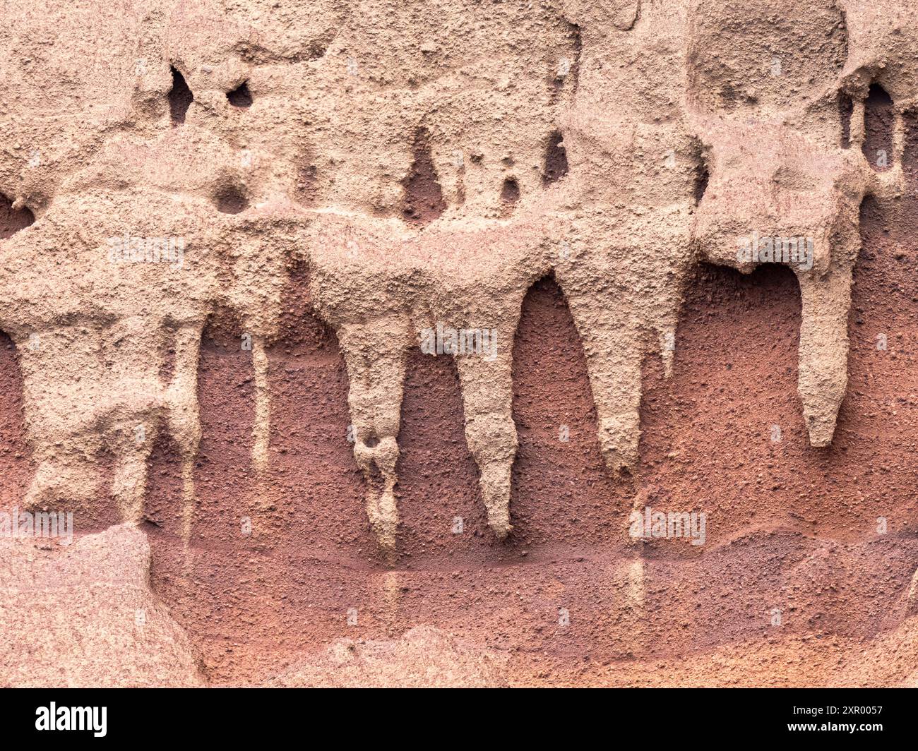 Droplets of solidified lava against red tufts, Deserta Grande Island ...