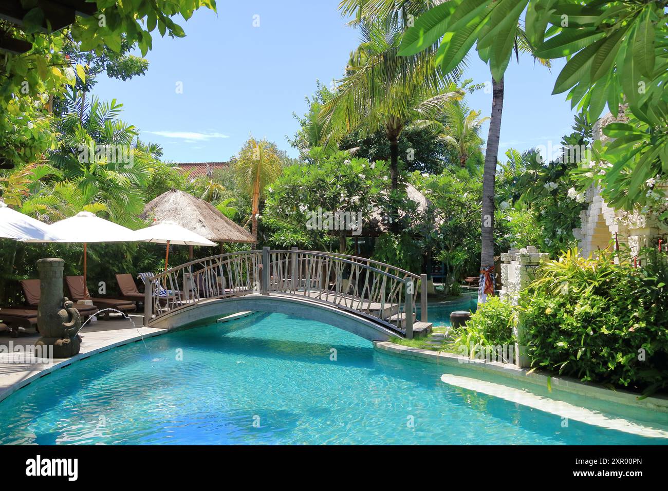 Infinity pool in forest hi-res stock photography and images - Alamy