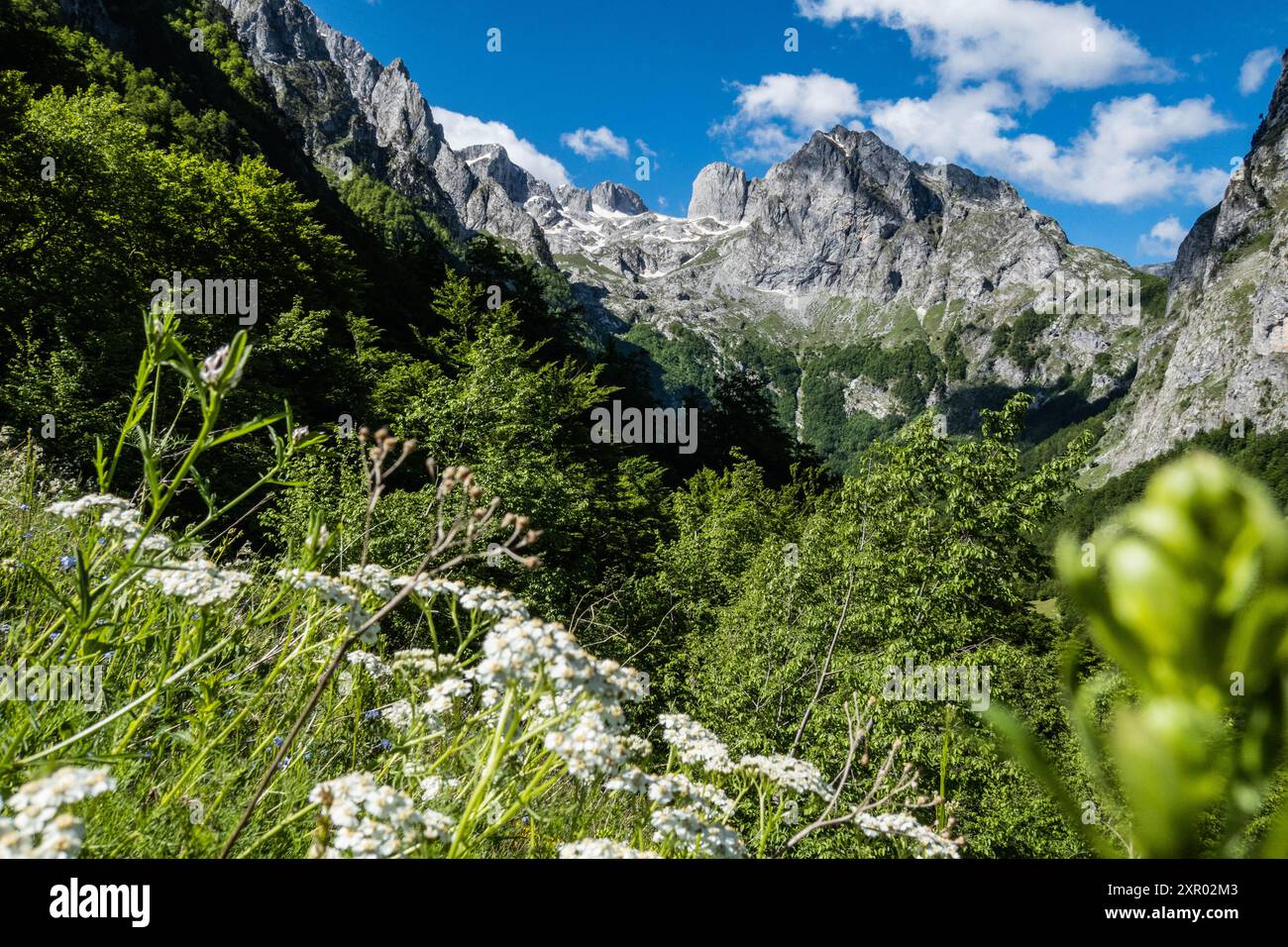Trekking in Prokletije National Park, Accursed Mountains, Grebaje ...
