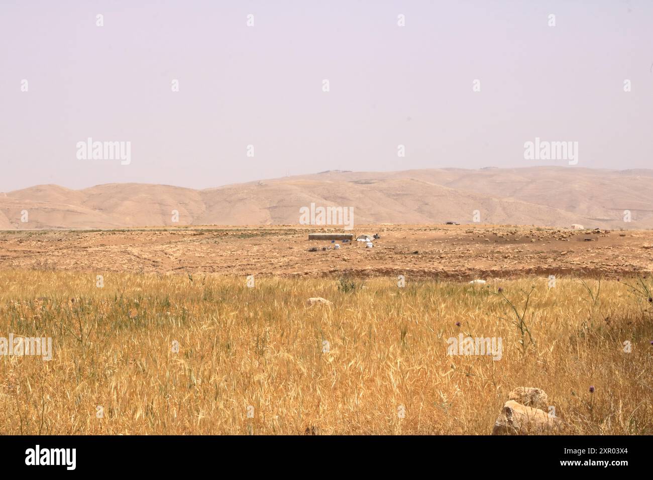 residential buildings in the jordan desert landscape Stock Photo - Alamy
