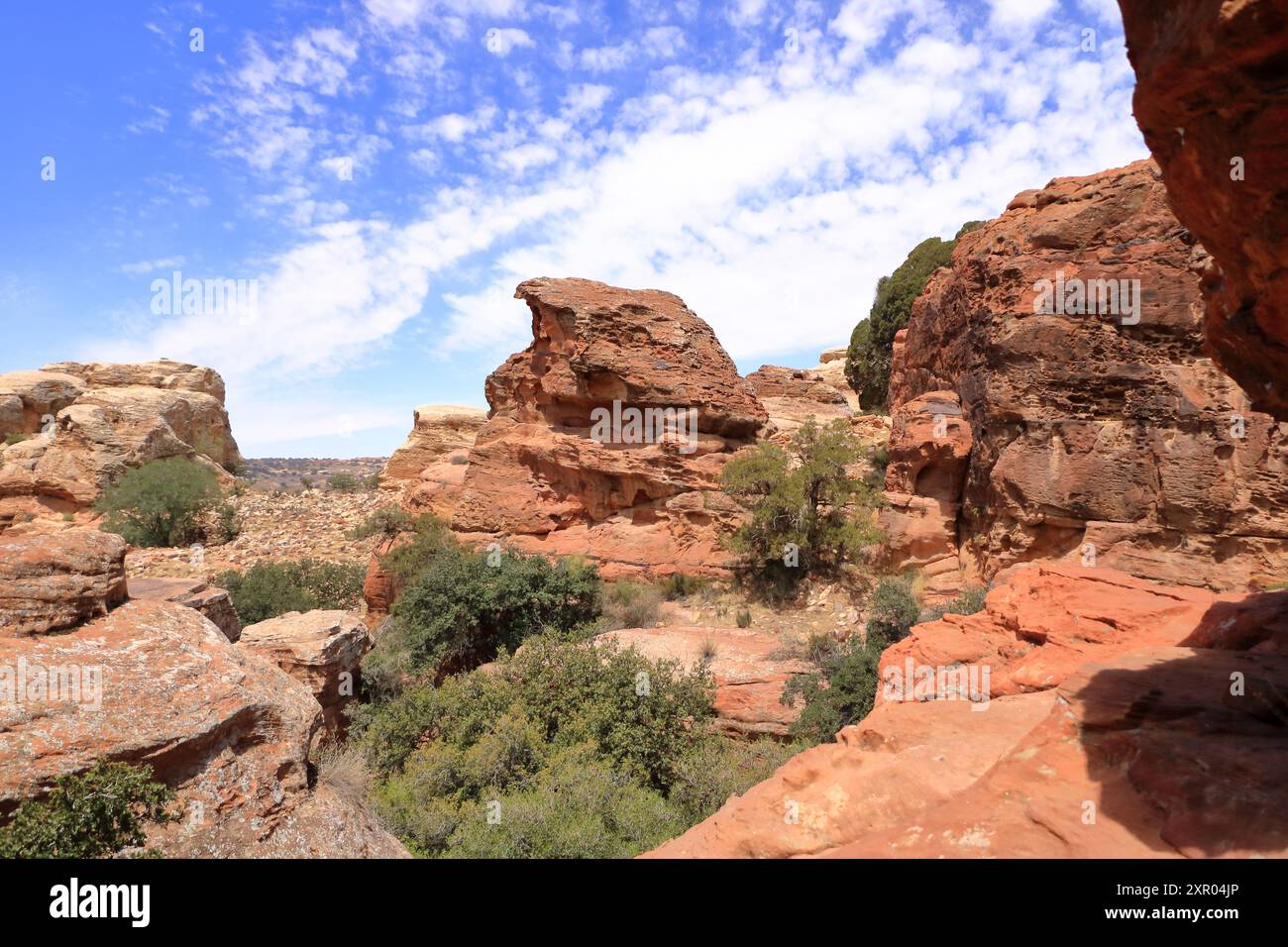 Typical landscape and rock forms in the Dana Biosphere Nature Reserve ...