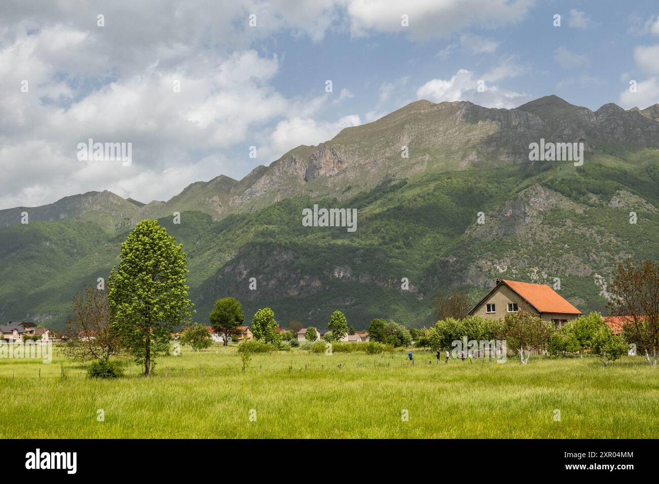 Plav gusinje hi-res stock photography and images - Alamy