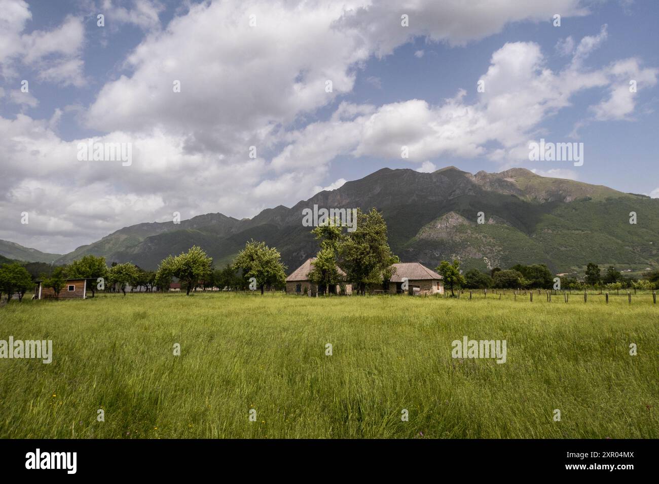 Pastoral scenes in rural Gusinje, Montenegro Stock Photo - Alamy
