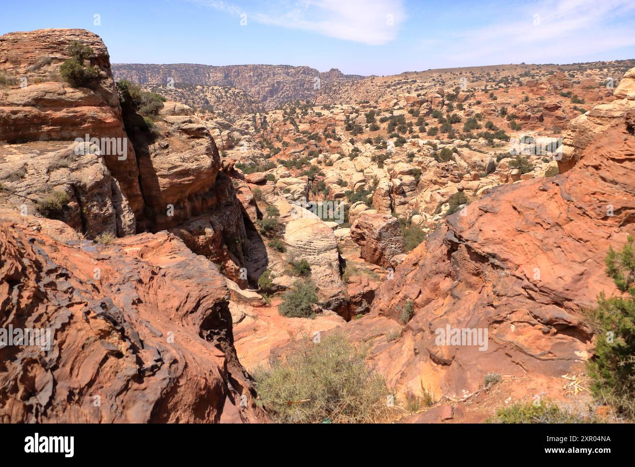 view of the landscape of Dana Biosphere Nature Reserve National Park ...