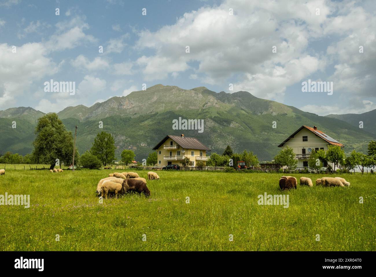Pastoral scenes in rural Gusinje, Montenegro Stock Photo - Alamy