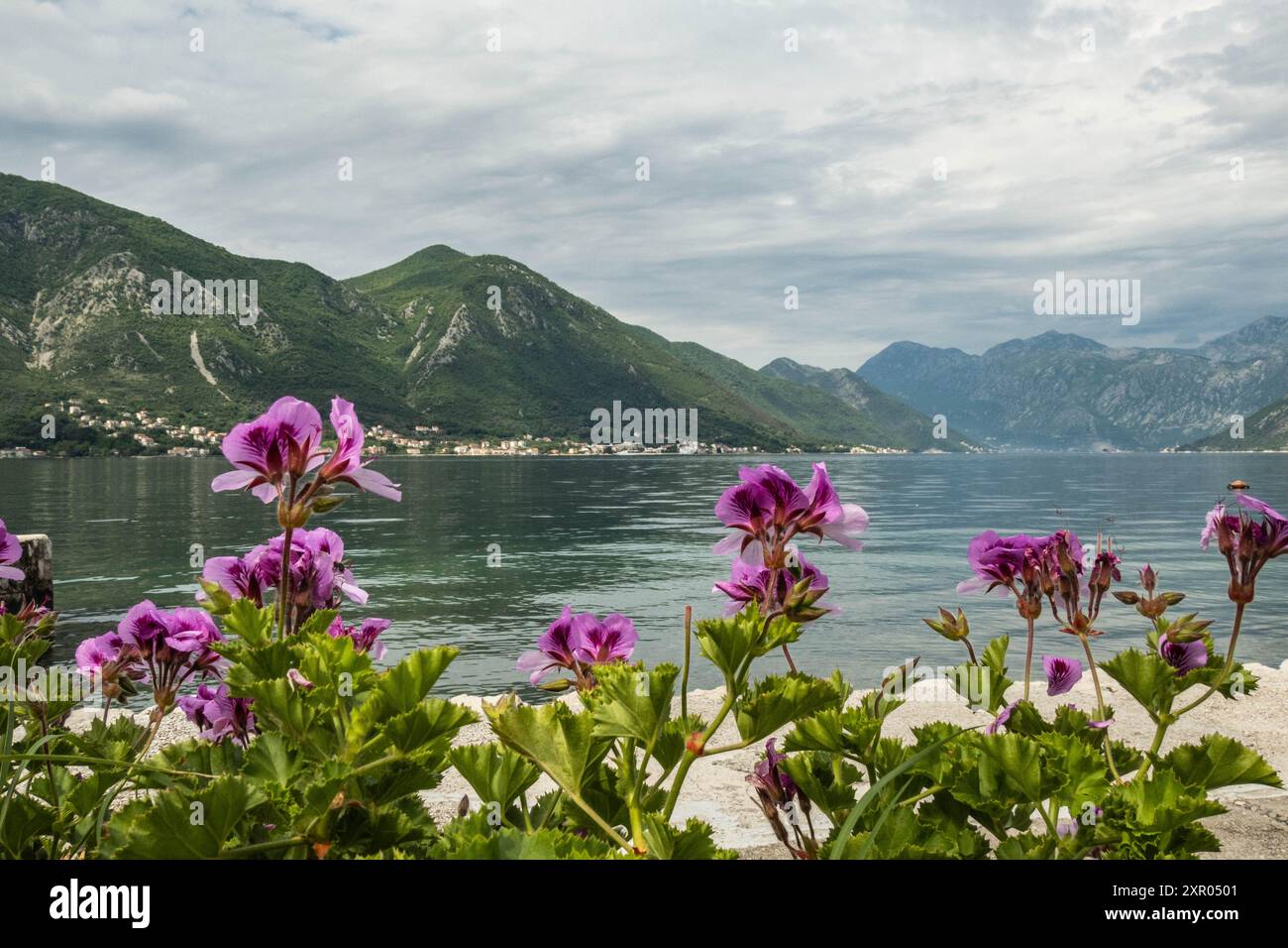 Beautiful UNESCO Kotor Bay and the Orjen Mountains, Kotor, Montenegro ...