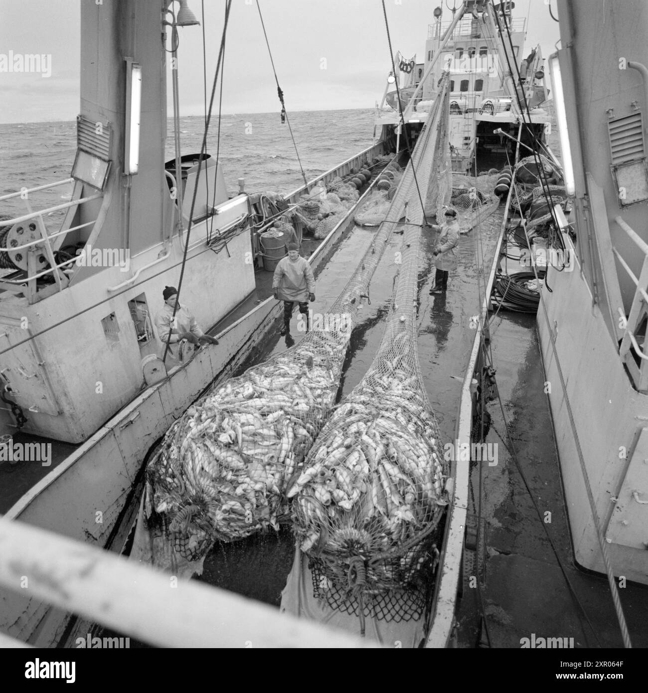 Current 17-7-1968 : Where vessels can float... Aktuell was on the ...