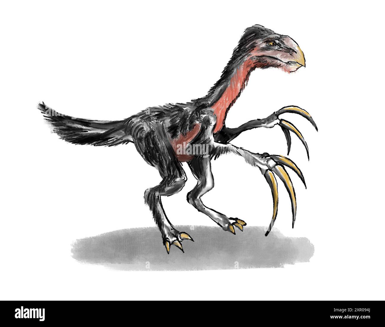 Therizinosaurus fossil hi-res stock photography and images - Alamy