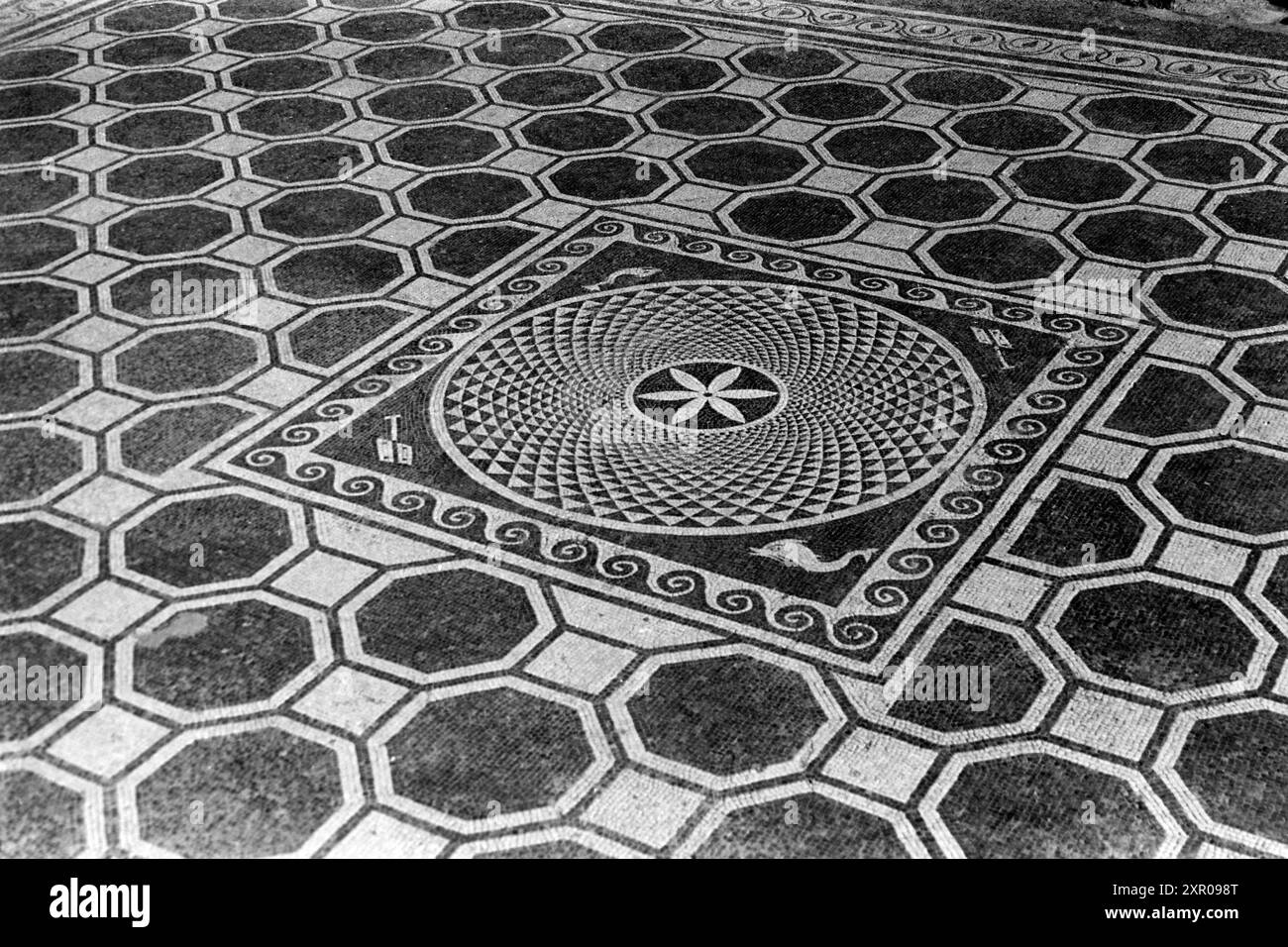 Ausgrabungsstätte Black and White Stock Photos & Images - Alamy