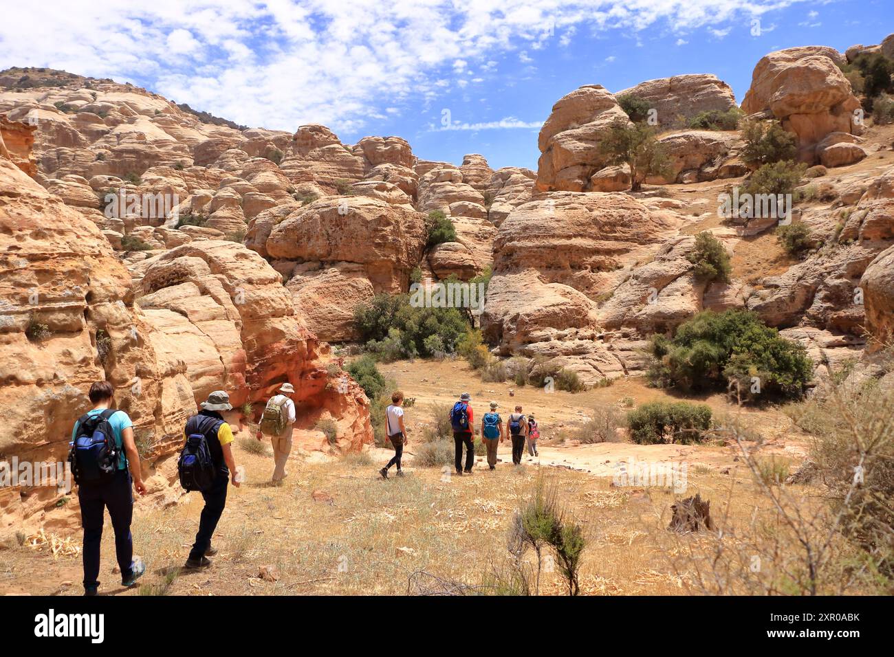 Dana Biosphere Nature Reserve in Jordan - May 12 2024: People are ...