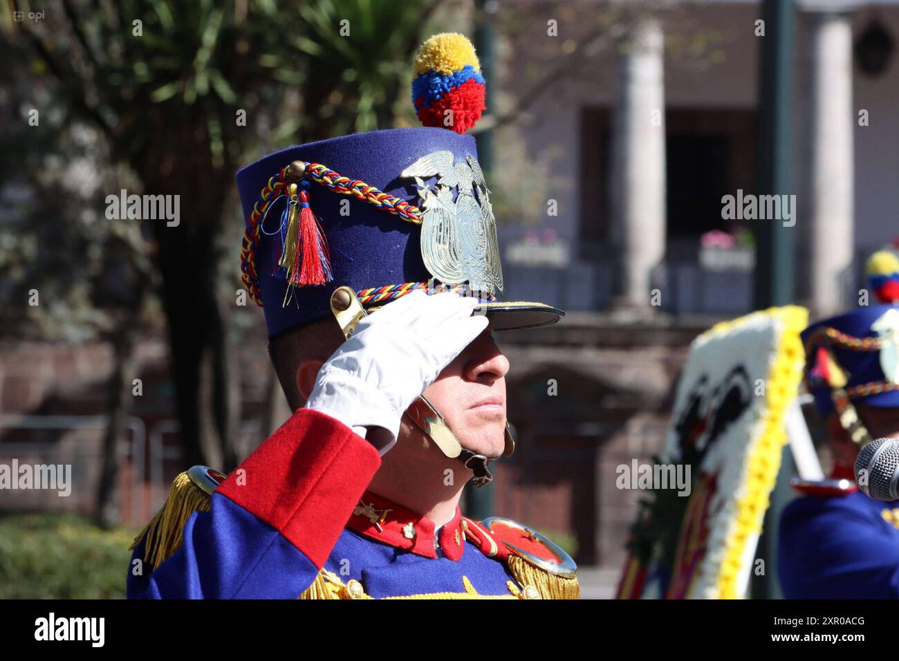 Corte de honor hi-res stock photography and images - Alamy